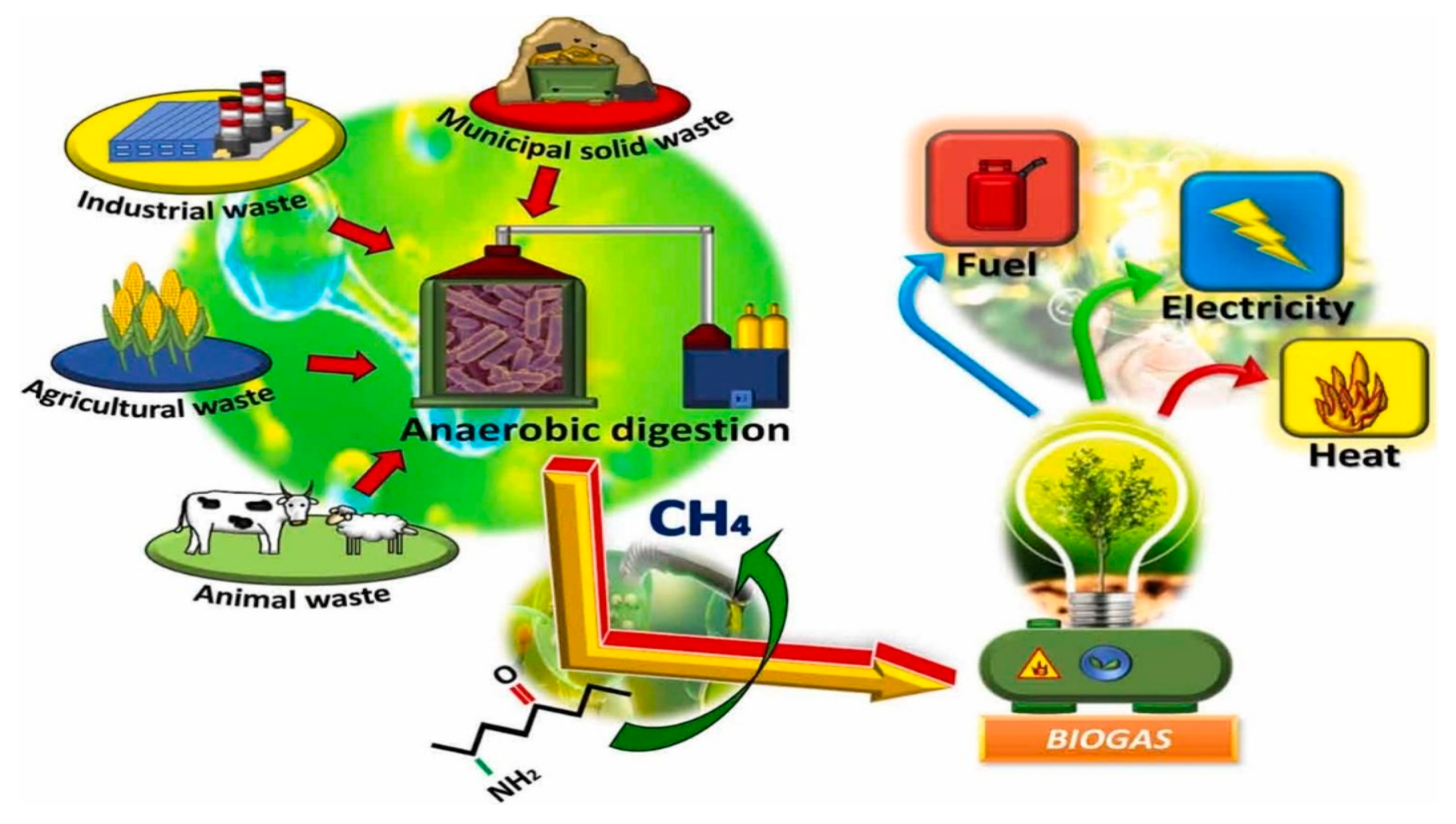 When Digestate Becomes a Biohazard: Unveiling the Hidden Threats of ...