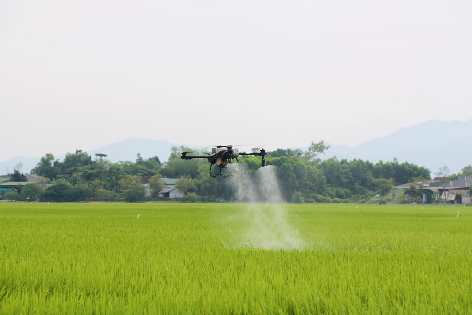 The achievements of Ha Tinh agriculture from the 'Green' effort in ...