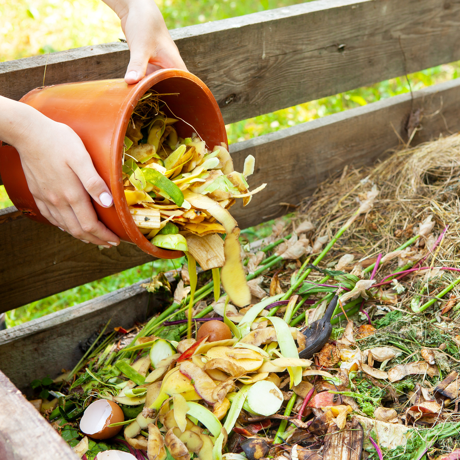 Common Mistakes in Organic Waste Transformation: A Systems Efficiency ...